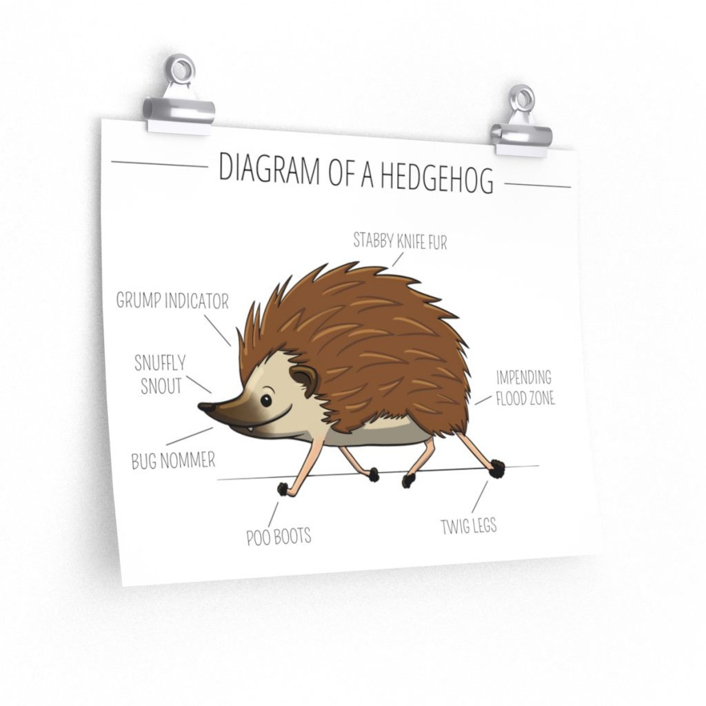 Diagram of a Hedgehog - Premium Matte Print - Floof and Friends
