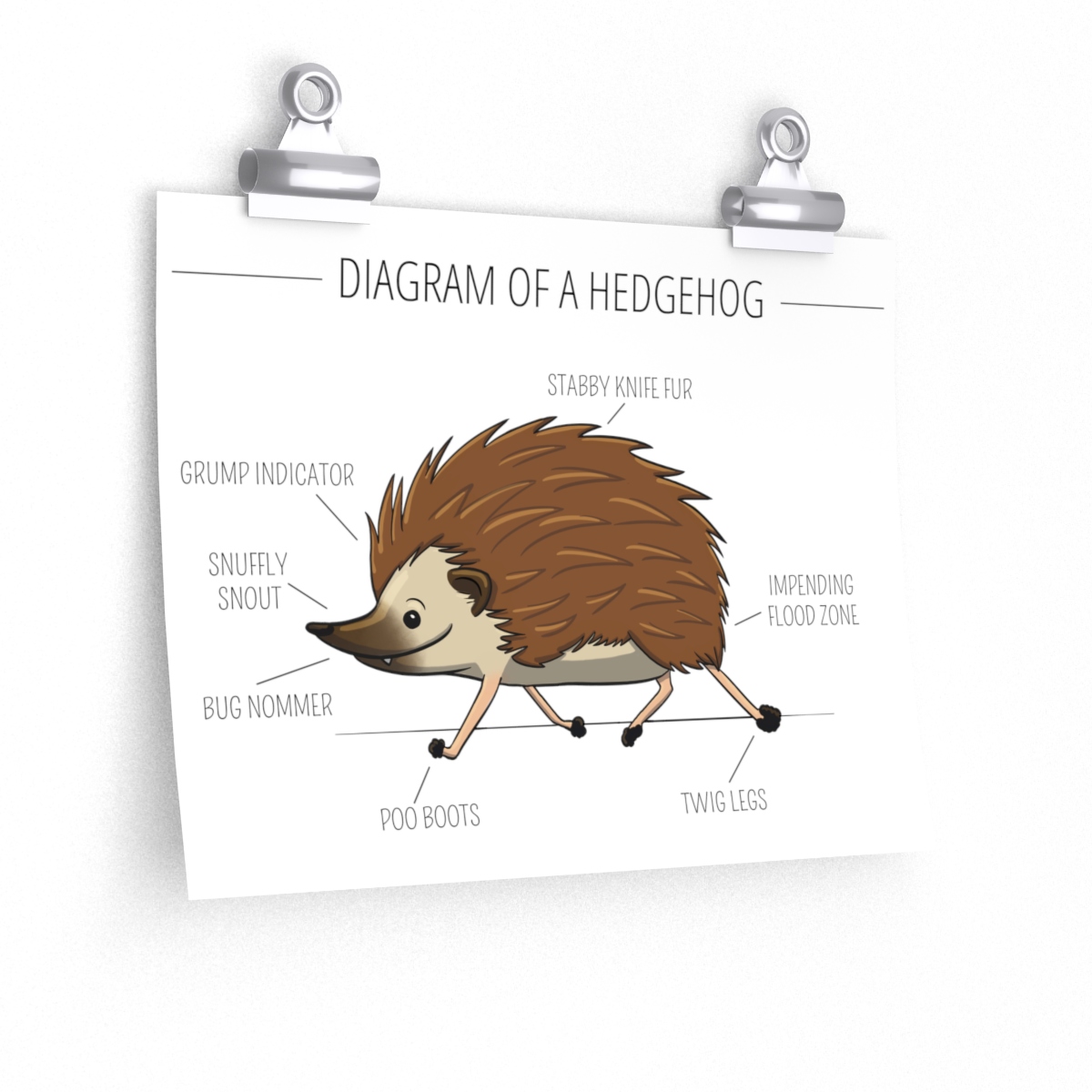 Diagram of a Hedgehog - Premium Matte Print - Floof and Friends